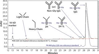 Comparing SDS-PAGE and CE-SDS for Antibody Purity Analysis