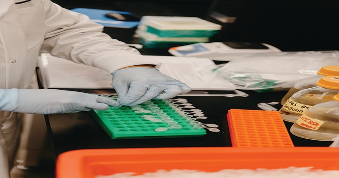 Novel Biotherapeutics with Synthetic Biology - BioProcess International