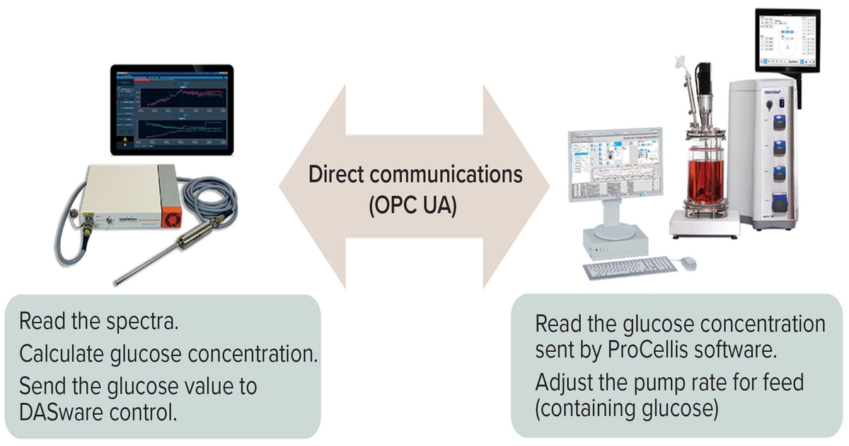 Using Raman Spectroscopy in CHO Cell Culture to Monitor Glucose ...