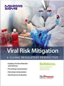 Viral Risk Mitigation: A Global Regulatory Perspective