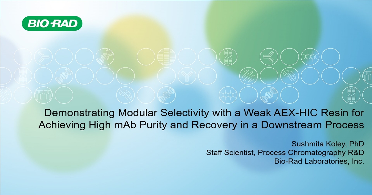 High mAb Purity and Recovery With a Weak AEX-HIC Resin