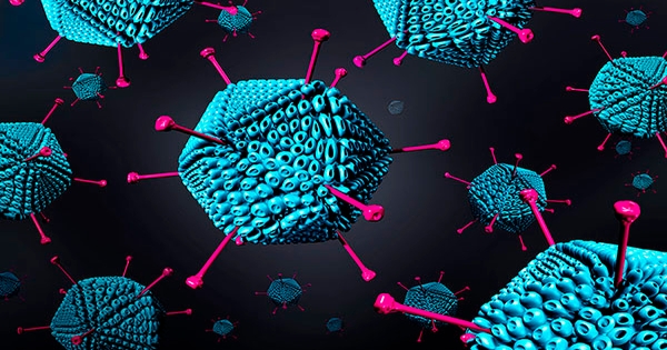 Transforming Adenovirus Quantitation Using Octet®️ BLI