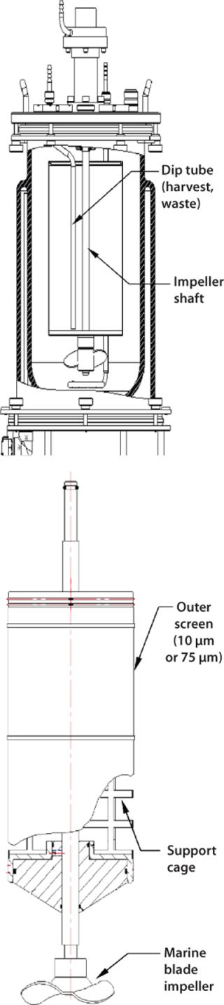 Which Impeller Is Right for Your Cell Line?