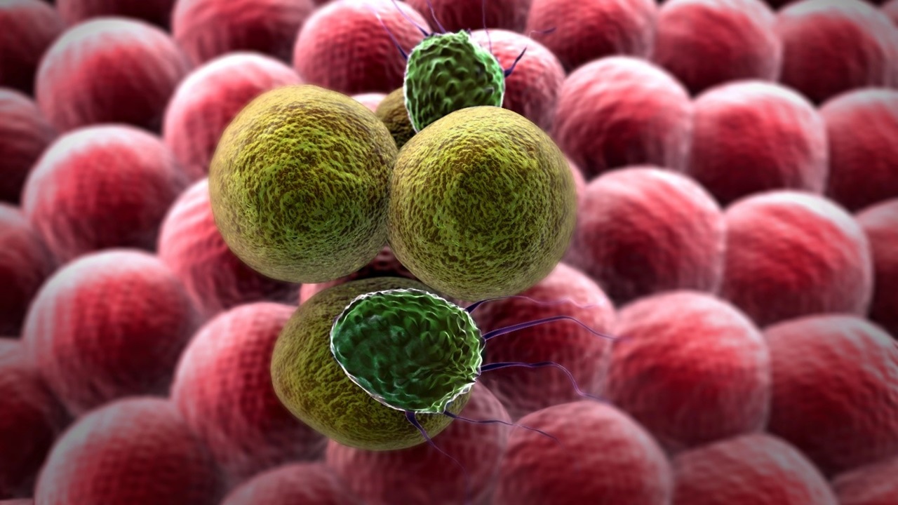 Developing an End-to-End Scale-Down Model for a Commercial-Scale ...