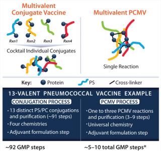 Rapidly Translating Novel Vaccine Concepts into the Clinic