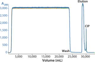 Optimization, Robustness, and Scale-Up of MAb Purification