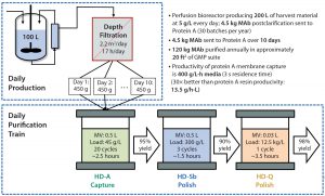 Membrane Adsorbers, Columns: Single-Use Alternatives to Resin ...