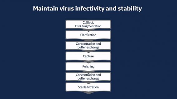 Cytiva shares tips for viral vector production - Bioprocess Insider