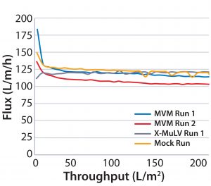 Advanced Viral Clearance Study Design: A Total Viral Challenge Approach ...