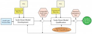 Development, Qualification, and Application of a Bioreactor Scale-Down ...