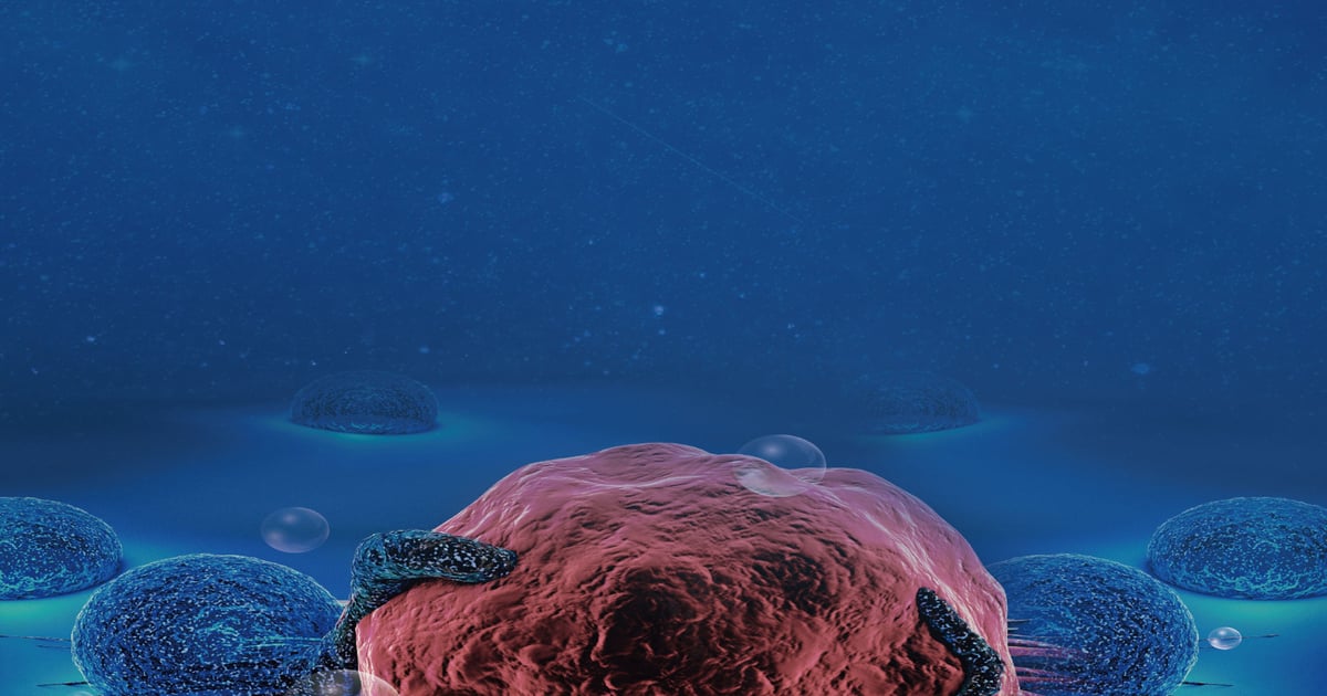 Scalable Lentiviral Vector Manufacturing Using Proprietary Suspension ...