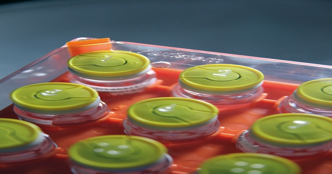 Cell-Based Potency Assay Development - BioProcess International