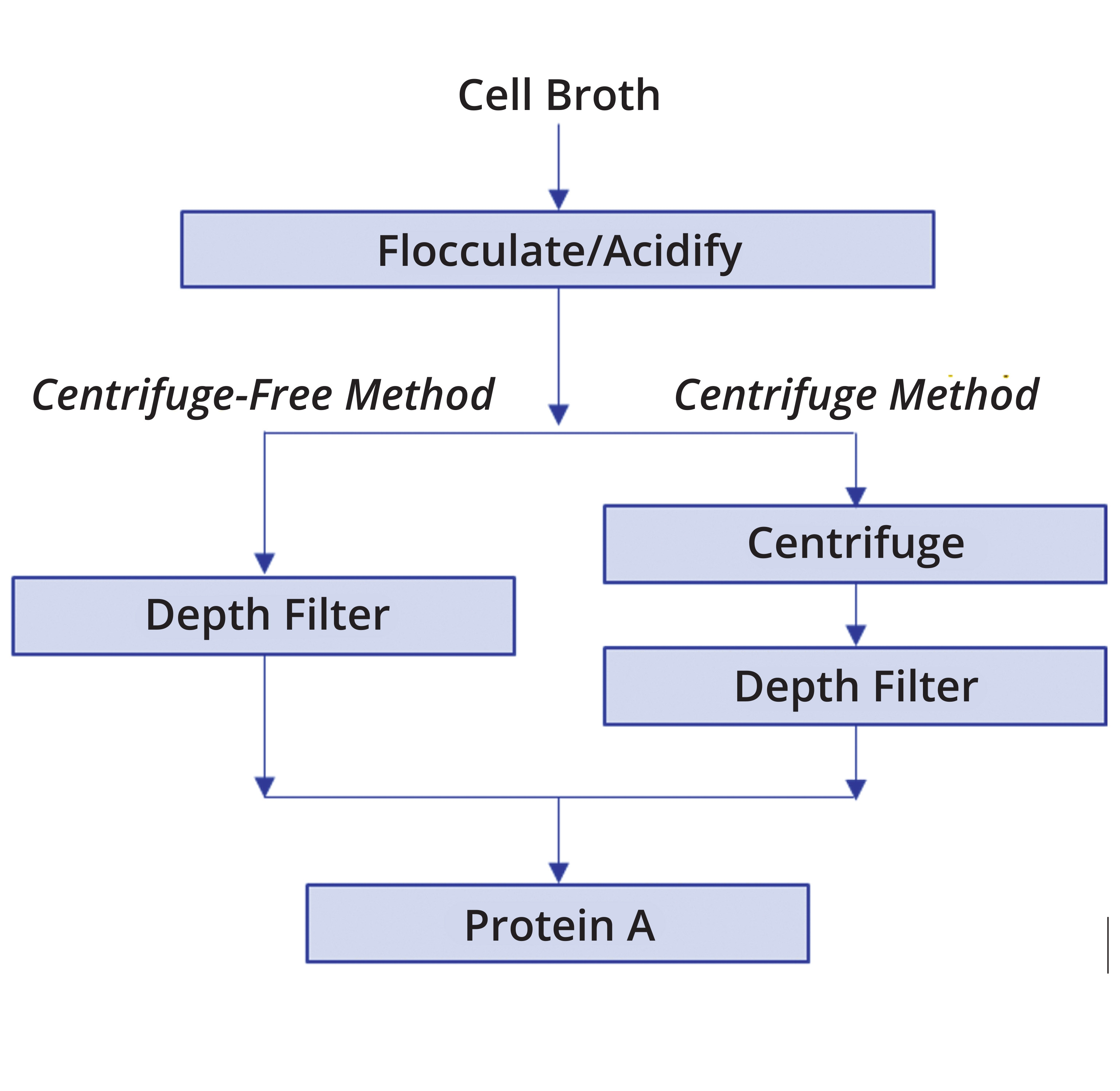 Improving mAb Harvest Clarification with Flocculation and Filtration