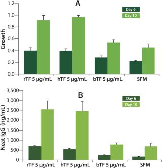 CellPrime™ Recombinant Human Transferrin As an Animal-Free Alternative ...