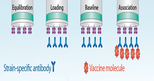 A Fast and High-Precision Influenza Vaccine Potency Assay