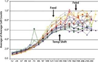 High-Throughput Process Development
