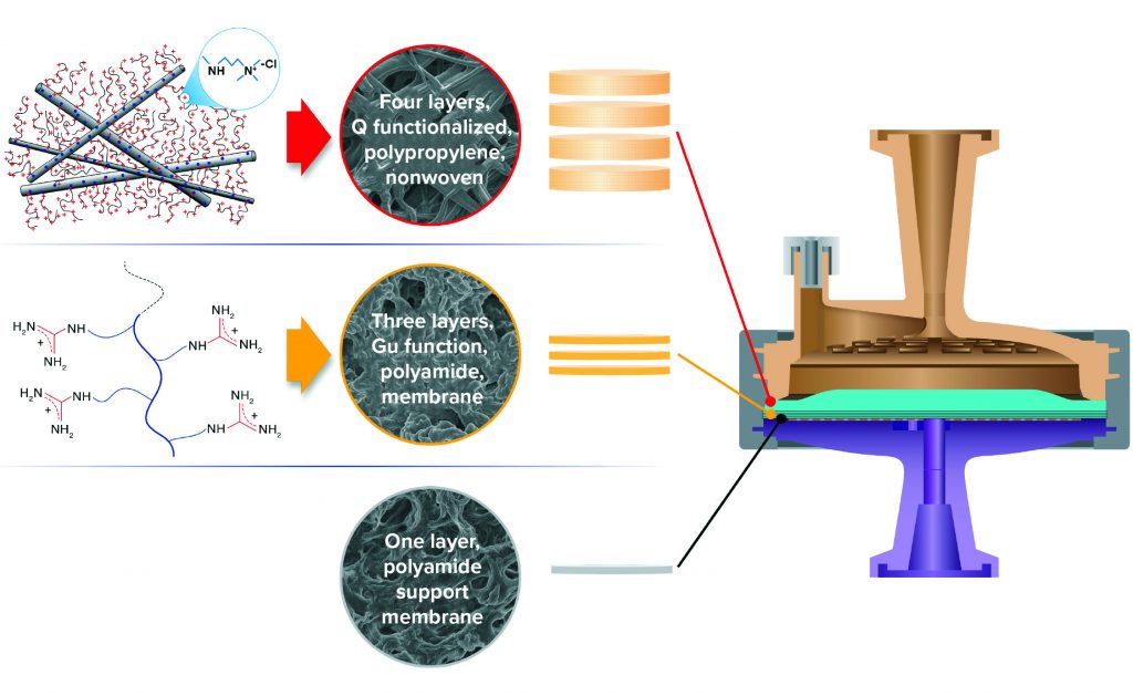 3M Polisher ST Capsules Boost Viral Clearance - BioProcess International