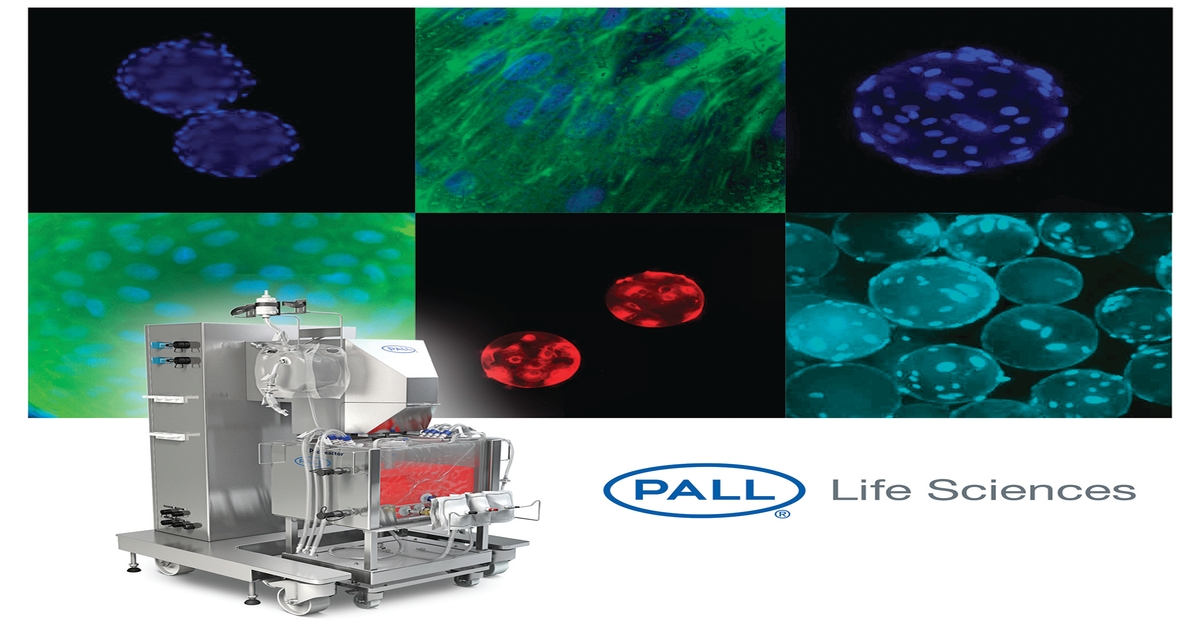 Enabling Cell Therapy Manufacturing