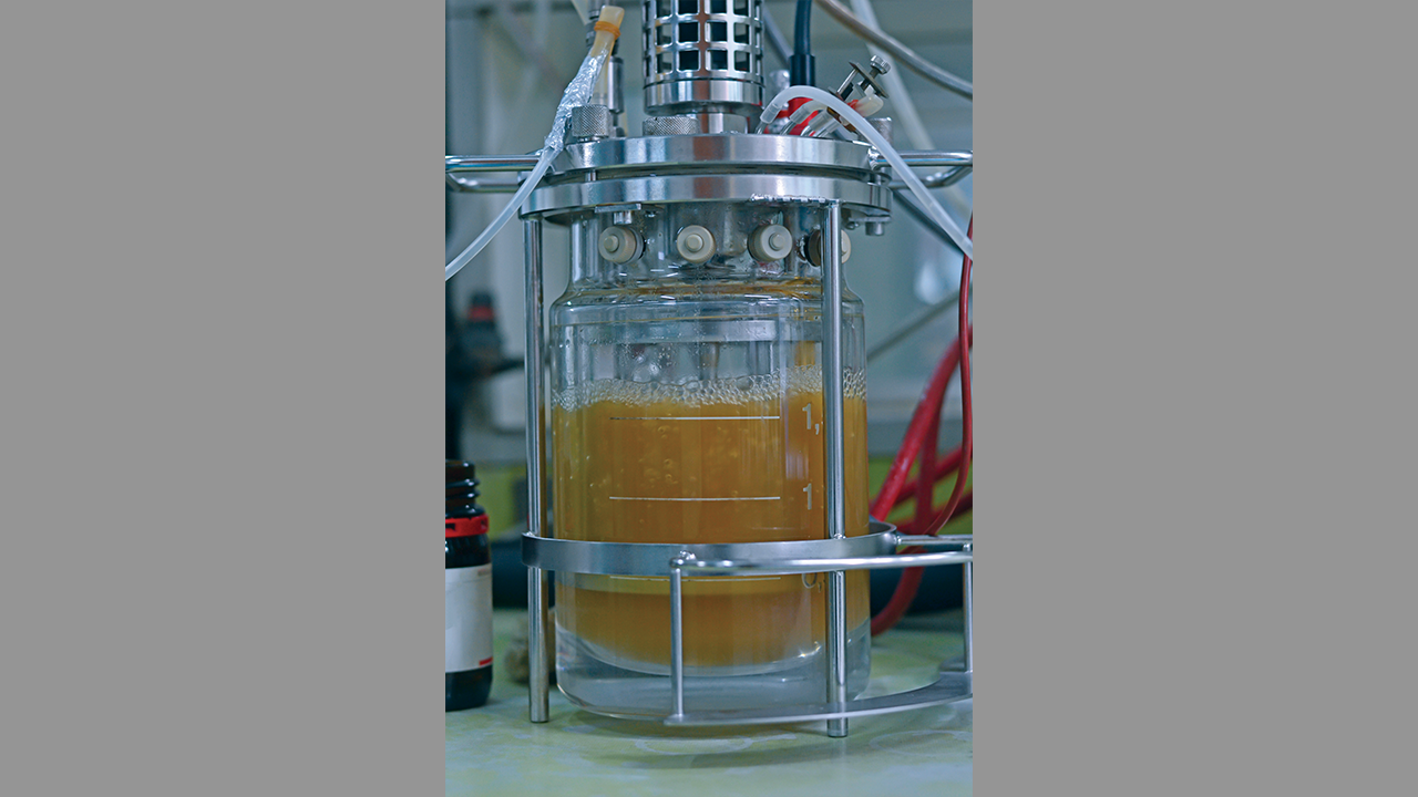 Fluid Flow And Mixing With Bioreactor Scale Up