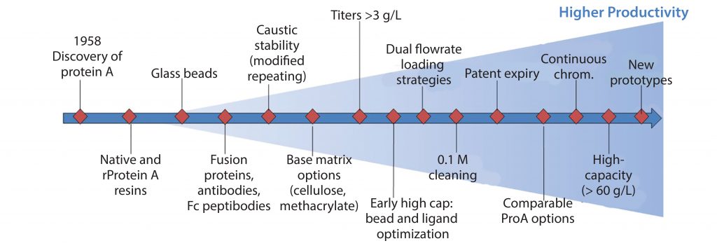Evaluation of a Next-Generation Protein A Chromatography Resin for the ...