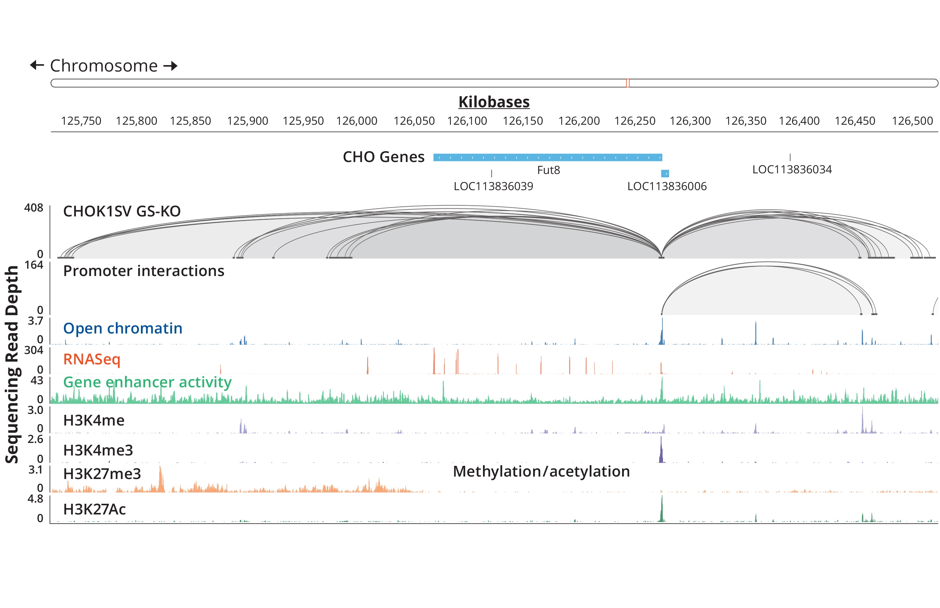 Creating Next-Generation CHO Expression Platforms
