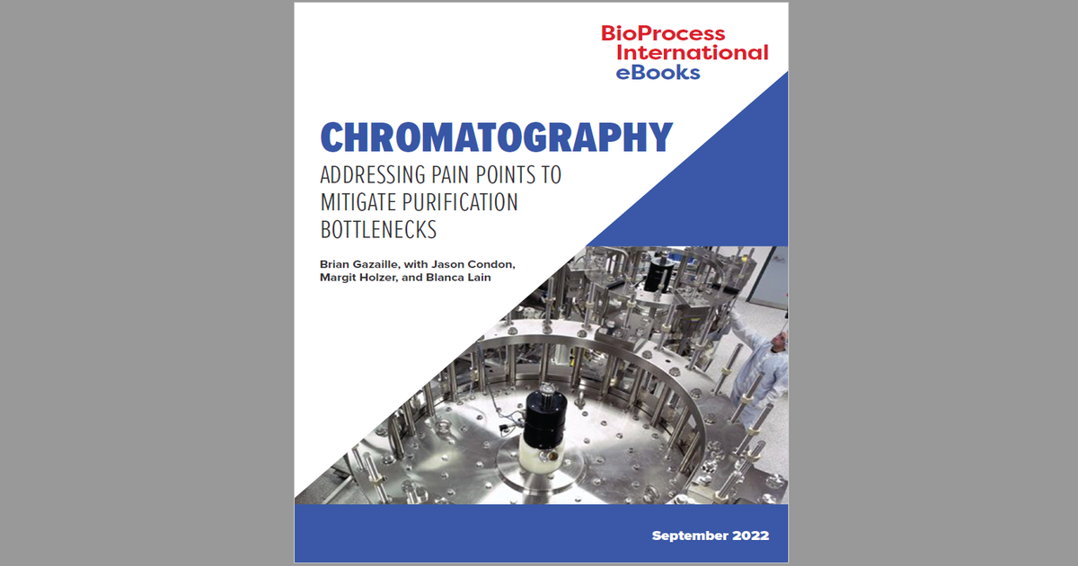 Chromatography Workflows: Pain Points - BioProcess International