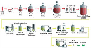 Single-Use Technology and Modular Construction