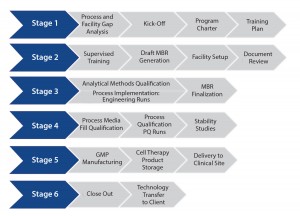 Overcoming Obstacles and Implementing Best Practices for Cell Therapy ...