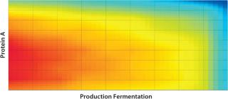 Approaches to Debottlenecking and Process Optimization