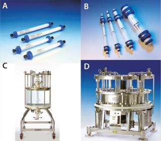 Chromatographic Purification in Downstream Processing