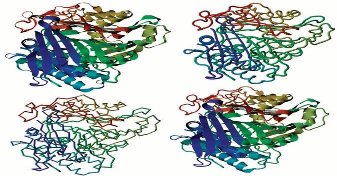 A Host Cell Protein Impurity in Therapeutic Monoclonal Antibody