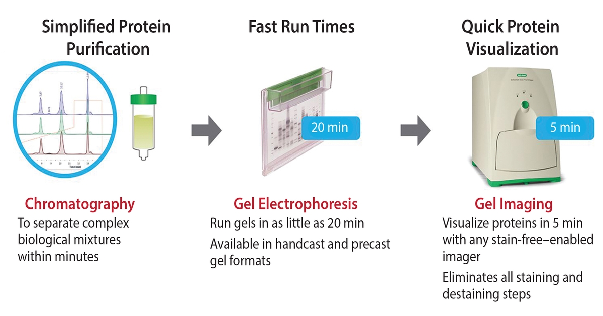 Electrophoresis: Enabling Faster Protein Pruification