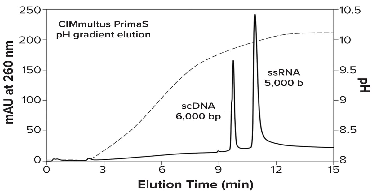 CIMmultus PrimaS: Purifying mRNA Vaccines - BioProcess International