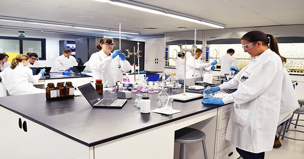 Your Ultimate Guide to Raw Materials Testing Support