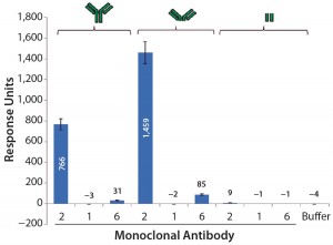 A Host Cell Protein Impurity in Therapeutic Monoclonal Antibody