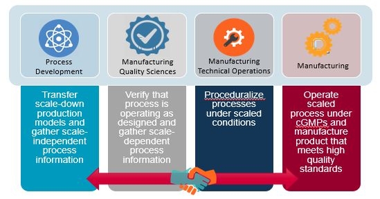 Efficient Technology Transfer: A CDMO Perspective