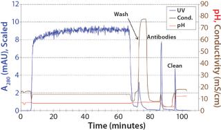 Purifying Common Light-Chain Bispecific Antibodies