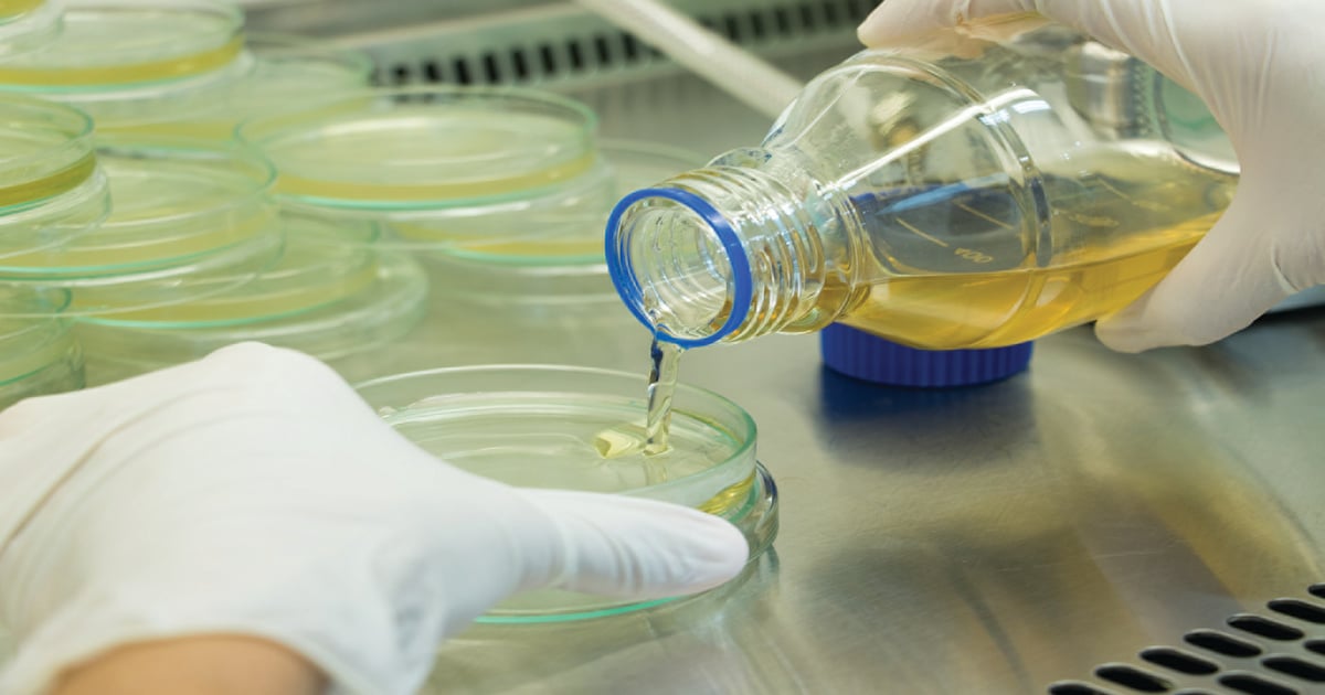 Validating Prefiltration Dirty-Hold Times - BioProcess International