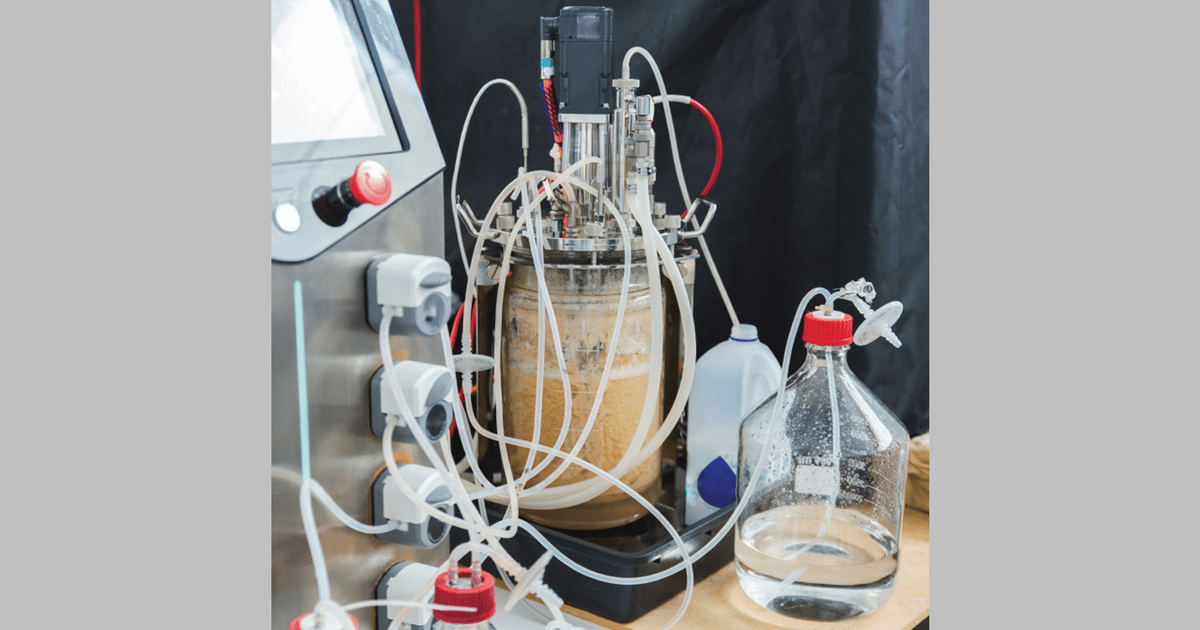 Lessons in Bioreactor Scale-Up: dCO2 Stripping Strategies