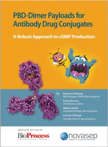 PDB-Dimer Payloads for Antibody Drug Conjugates: A Robust Approach to ...
