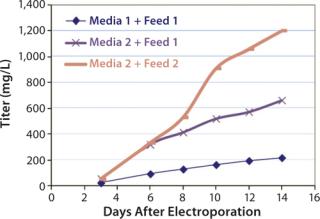 Large Scale CHO Transient Gene Expression Using Flow Electroporation