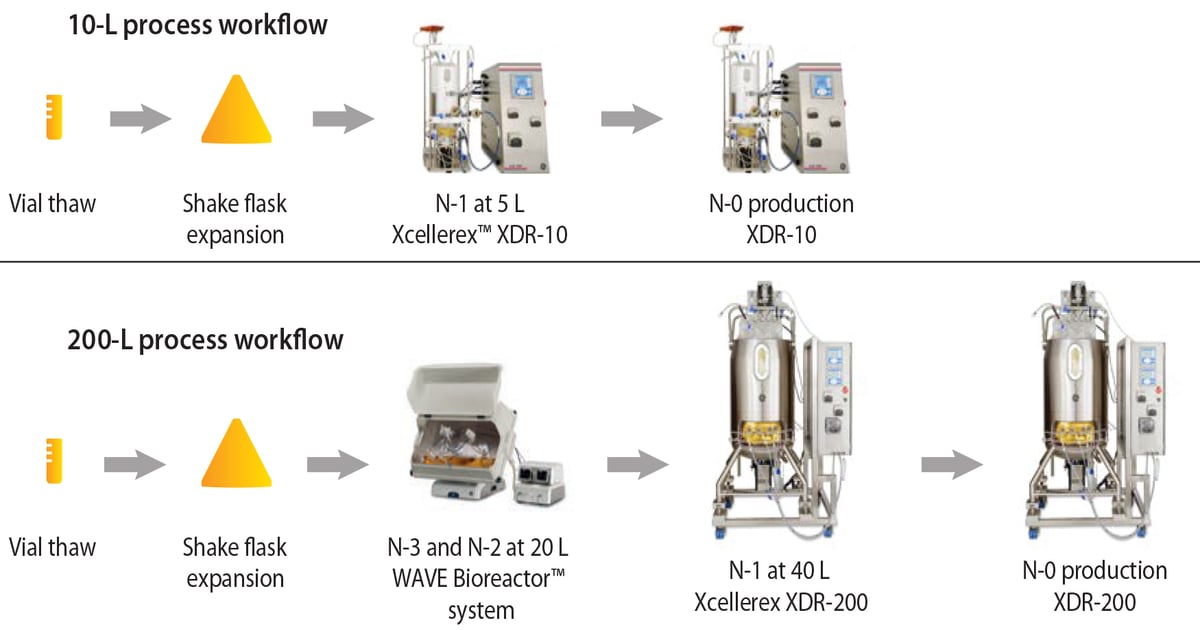 Pfizer Collaborates to Accelerate Approval of Biosimilar MAbs in China