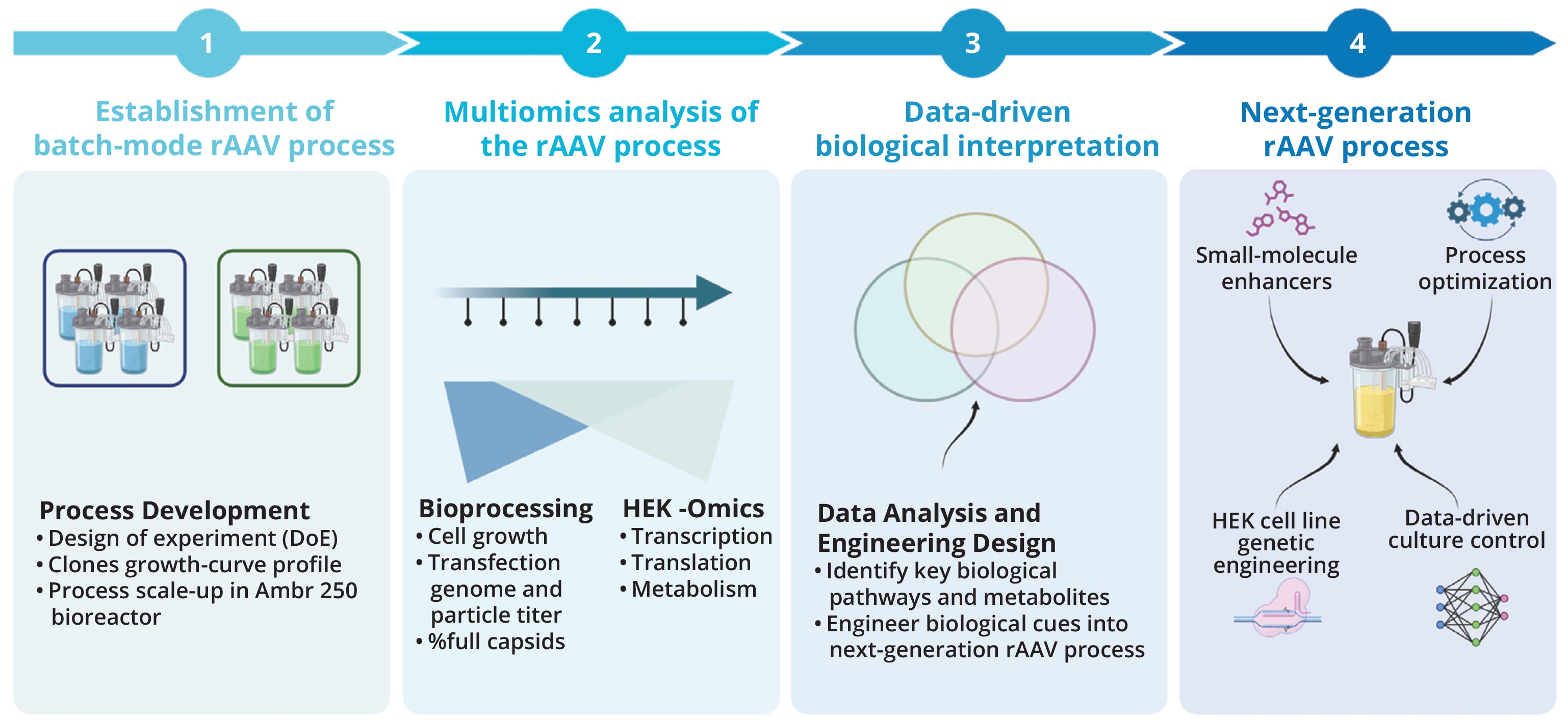 CGT Catapult Seeks To Optimize AAV Manufacturing