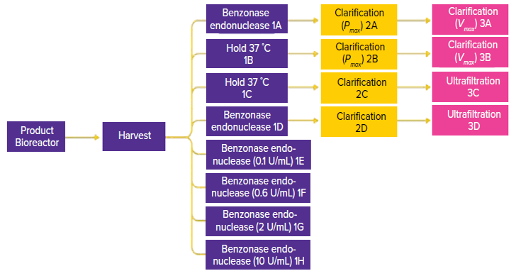 Benzonase Endonuclease: Enhance Purification - BioProcess International