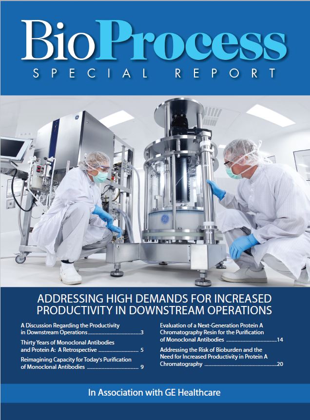 eBook: Addressing High Demands for Increased Productivity in Downstream ...