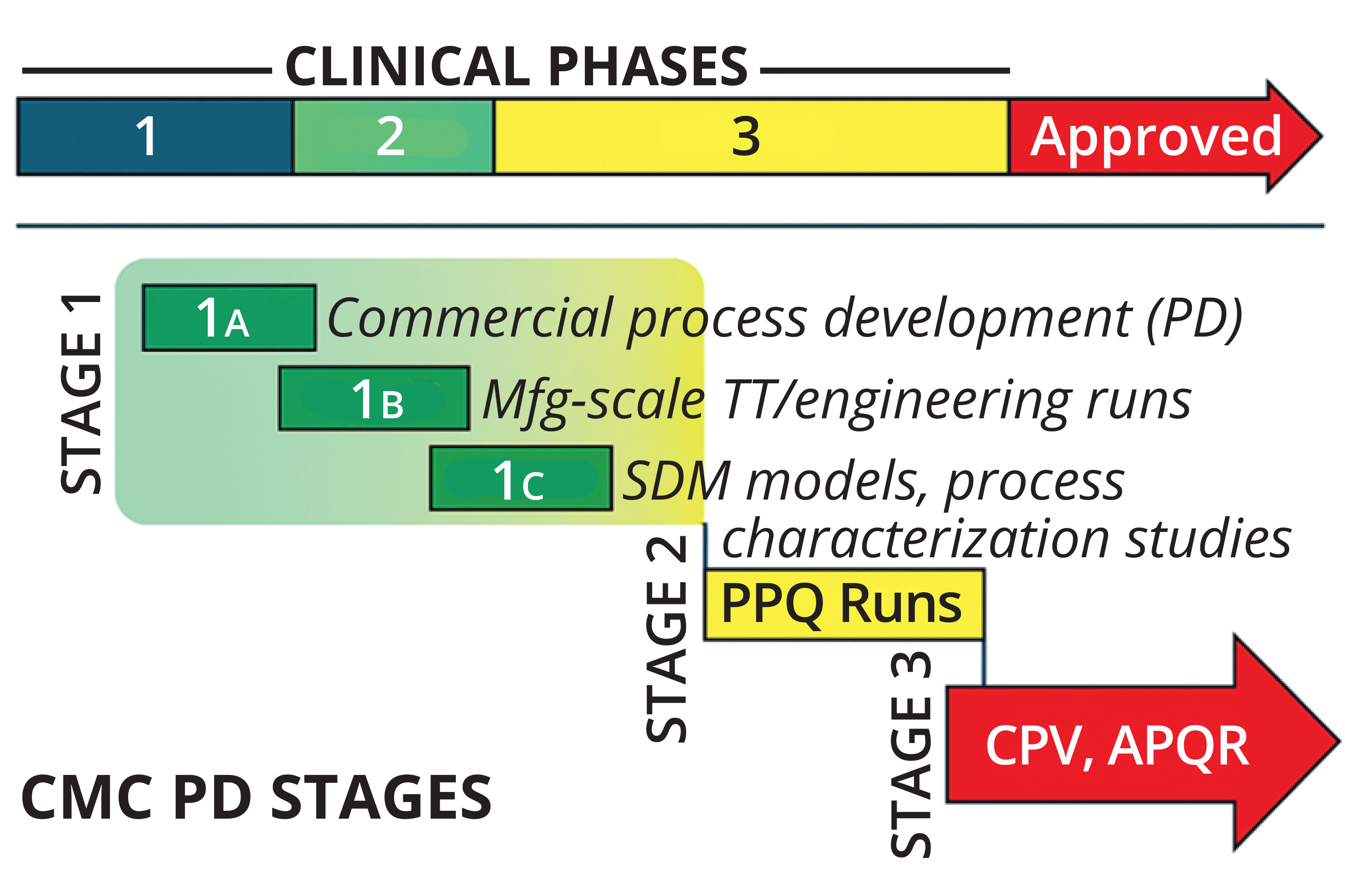 Synchronizing CMC Activities with Clinical Development