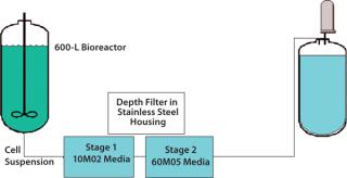 Large-Scale, Single-Use Depth Filtration Systems