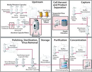 Environmental Impact of Single-Use and Reusable Bioprocess Systems