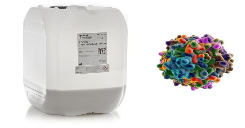 AAV Case Study - Using POROS Custom Resins and CaptureSelect Ligand ...