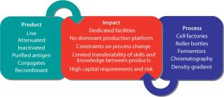 21st Century Vaccine Manufacturing